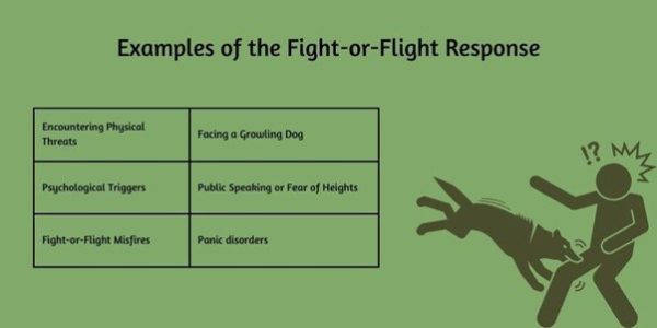 Fight or Flight Response: Definition, Examples, & How to Calm?